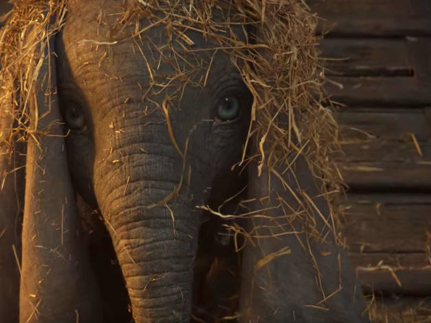 Disney Just Released A Spellbinding Teaser Trailer For Dumbo And We're ...