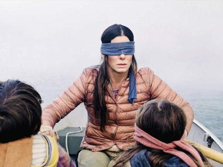 Netflix Does Not Approve of the #BirdBoxChallenge - The Pop Insider