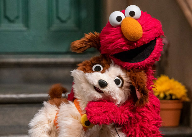 Sesame Street Builds Up Collabs for Fans of All Ages | The Pop Insider