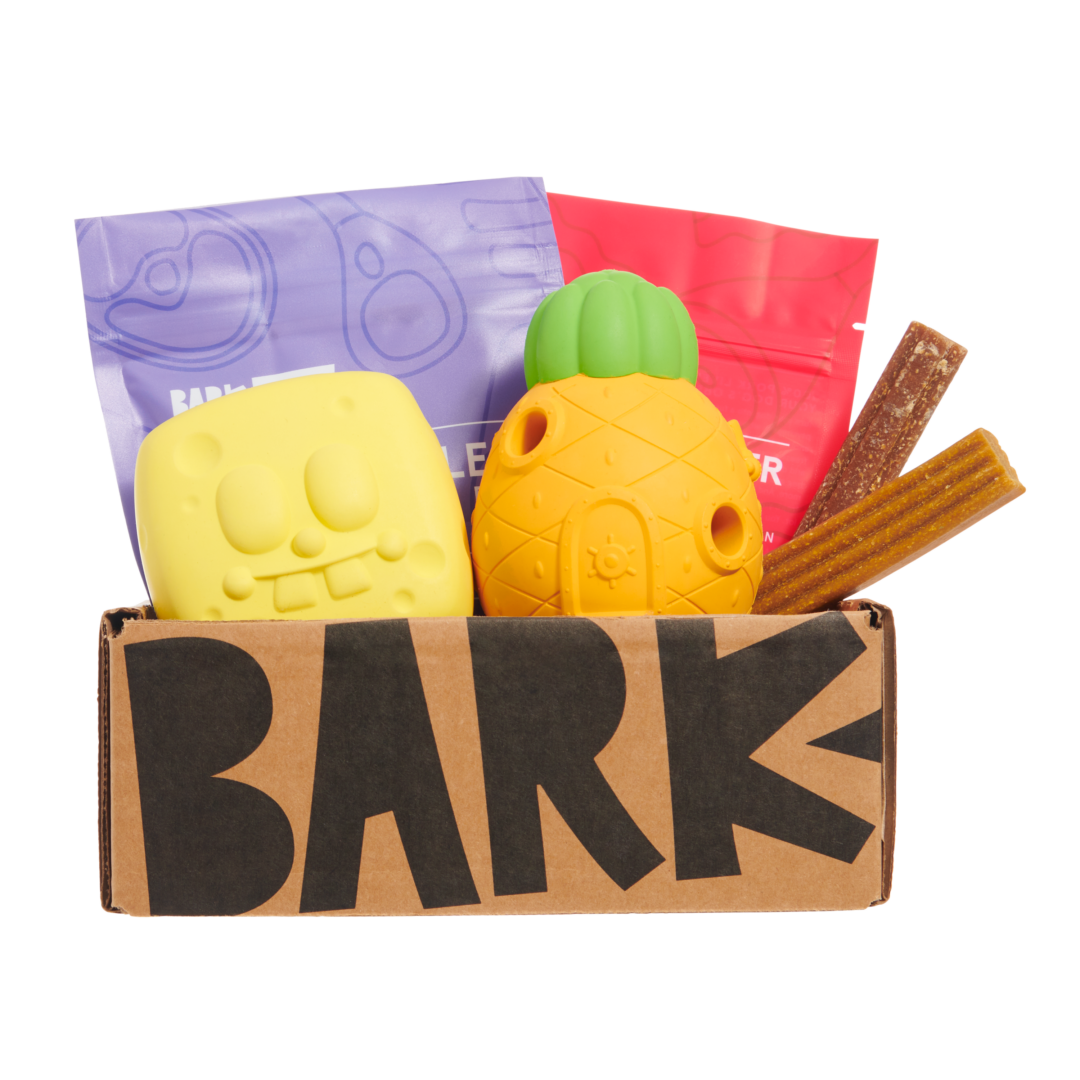 BarkBox Offering SpongeBob Toys as Part of their Subscription
