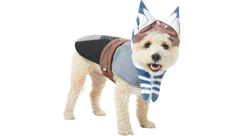 STAR WARS AHSOKA DOG & CAT COSTUME - The Pop Insider