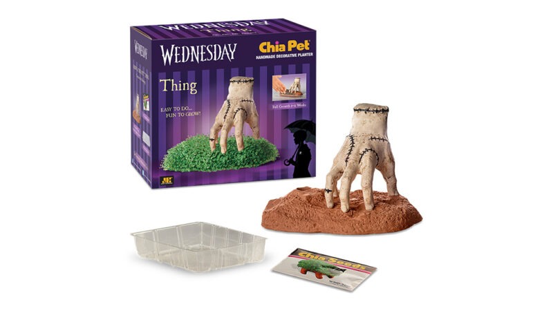 These Spooky Chia Pets Set the Mood for a Frightful Halloween - The Pop ...