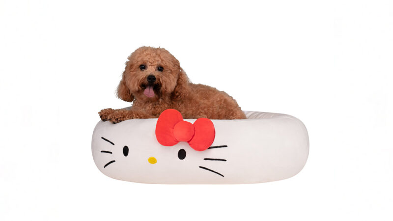 The Fuggler X TMNT Collab Coming to the US | The Pop Insider