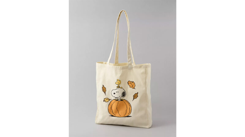 Ignore the Heat, Embrace Fall with American Eagle's New Peanuts ...