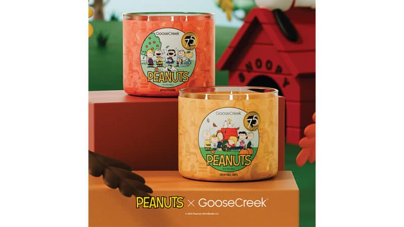 PEANUTS X GOOSE CREEK COLLECTION - The Pop Insider