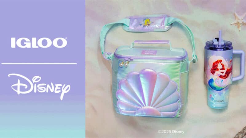 Vera Bradley's Gilmore Girls Collection Is Everything - The Pop Insider