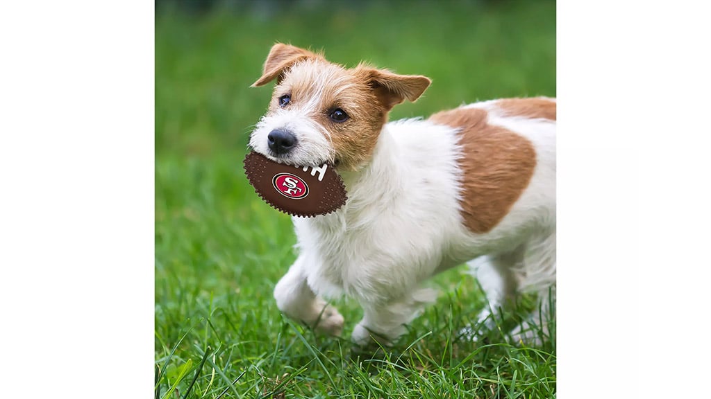 PETSMART X NFL COLLECTION - The Pop Insider
