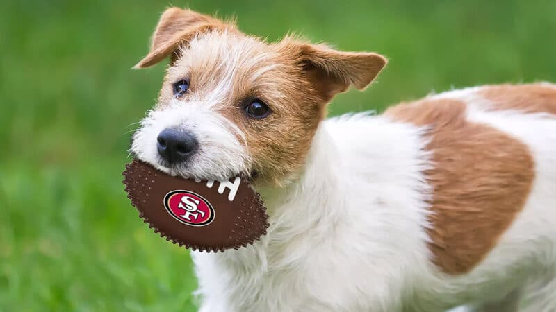 Vera Bradley's Gilmore Girls Collection Is Everything - The Pop Insider