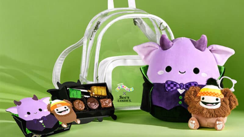 Vera Bradley's Gilmore Girls Collection Is Everything - The Pop Insider